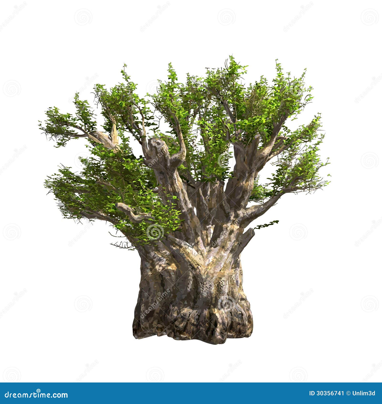 Baobab Tree Isolated. Vector Illustration Stock Vector - Illustration ...