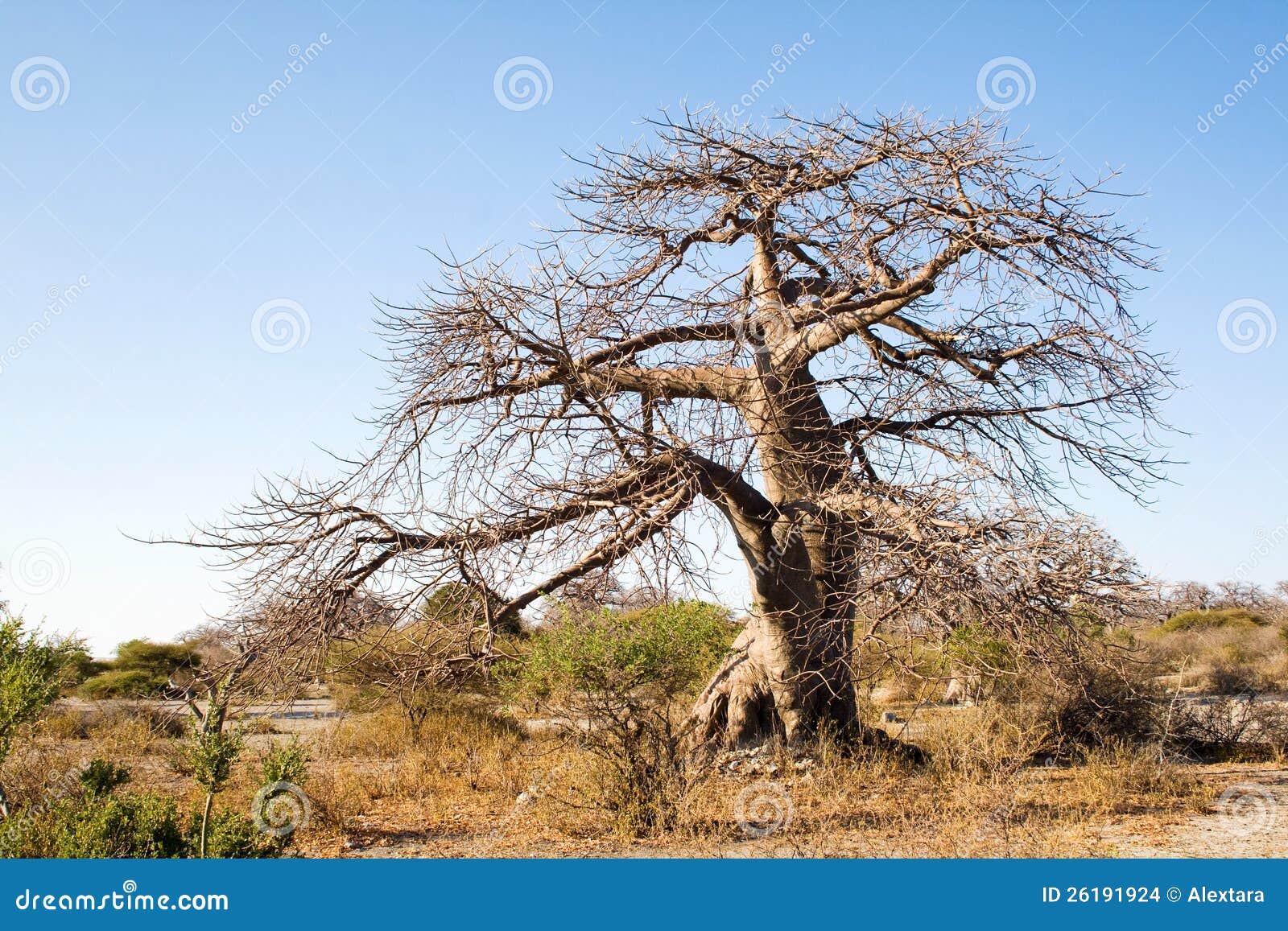 Kubu Island Royalty-Free Stock Image | CartoonDealer.com #189555790