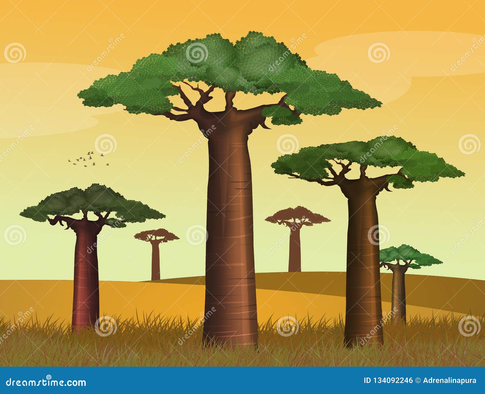 Baobab tree at sunset stock illustration. Illustration of tree - 134092246