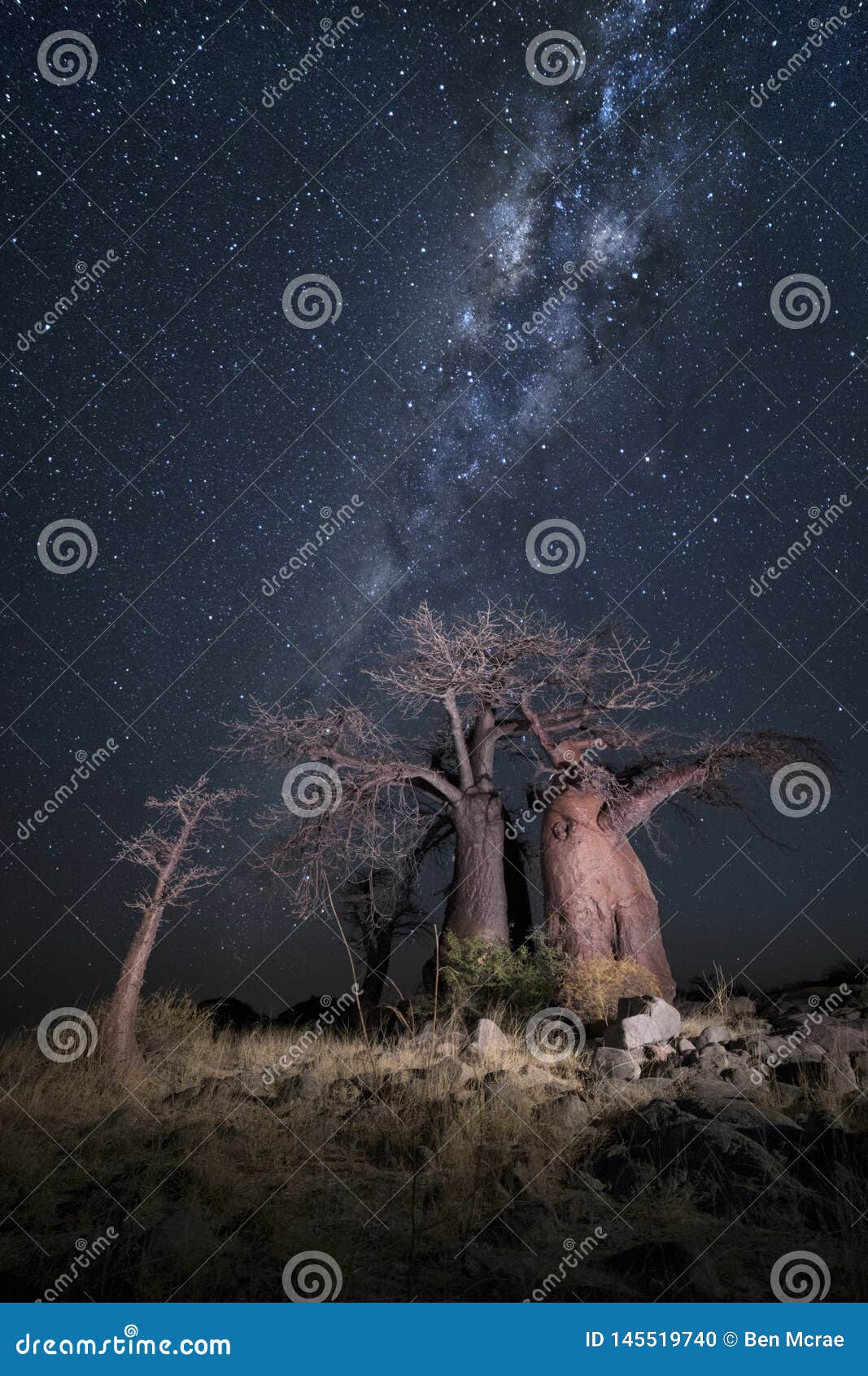 Baobab Tree Under the Milky Way Stock Photo - Image of desert, tree ...