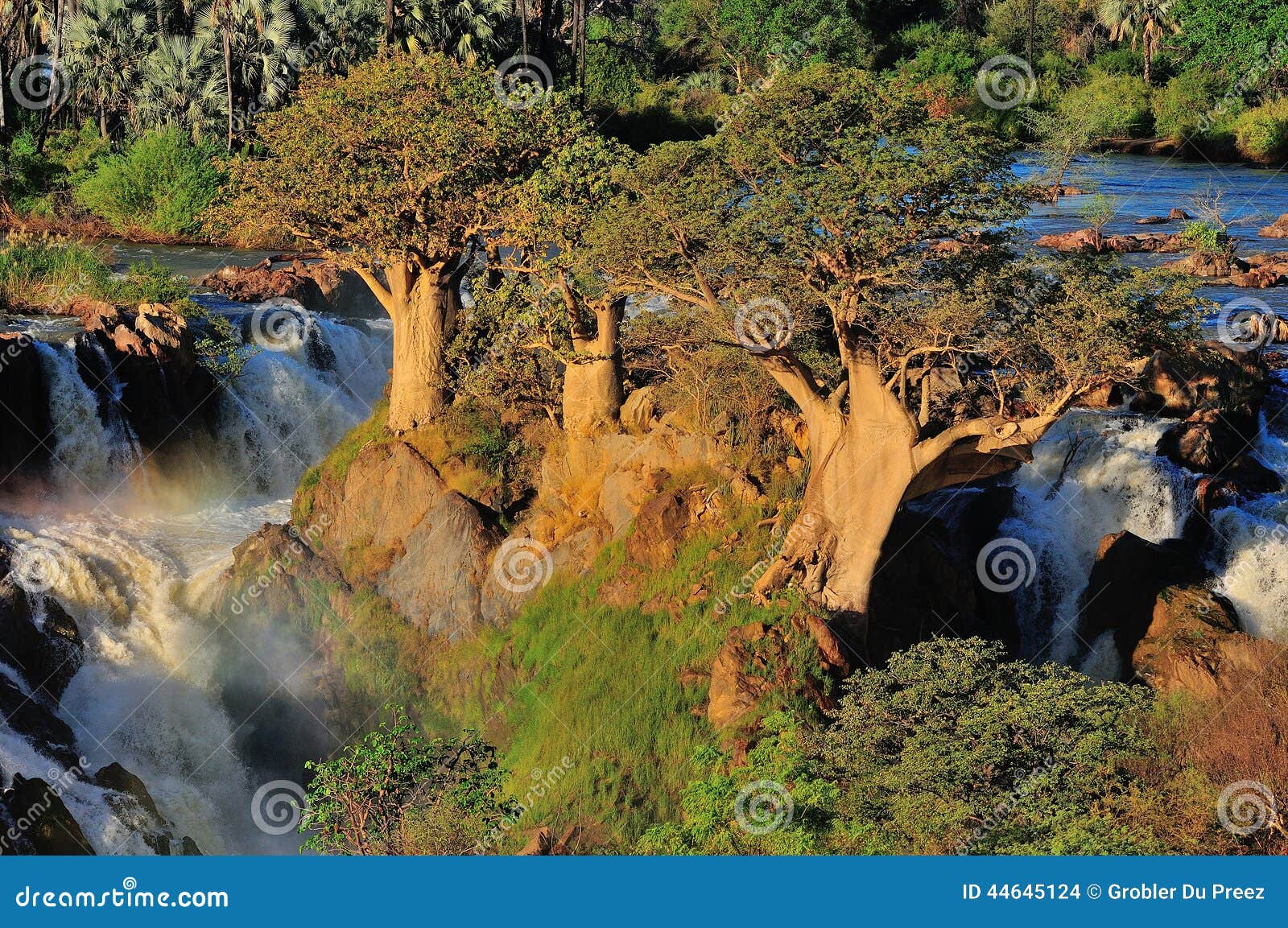 Baobabs at Epupa Waterfall, Namibia Stock Photo - Image of africa ...