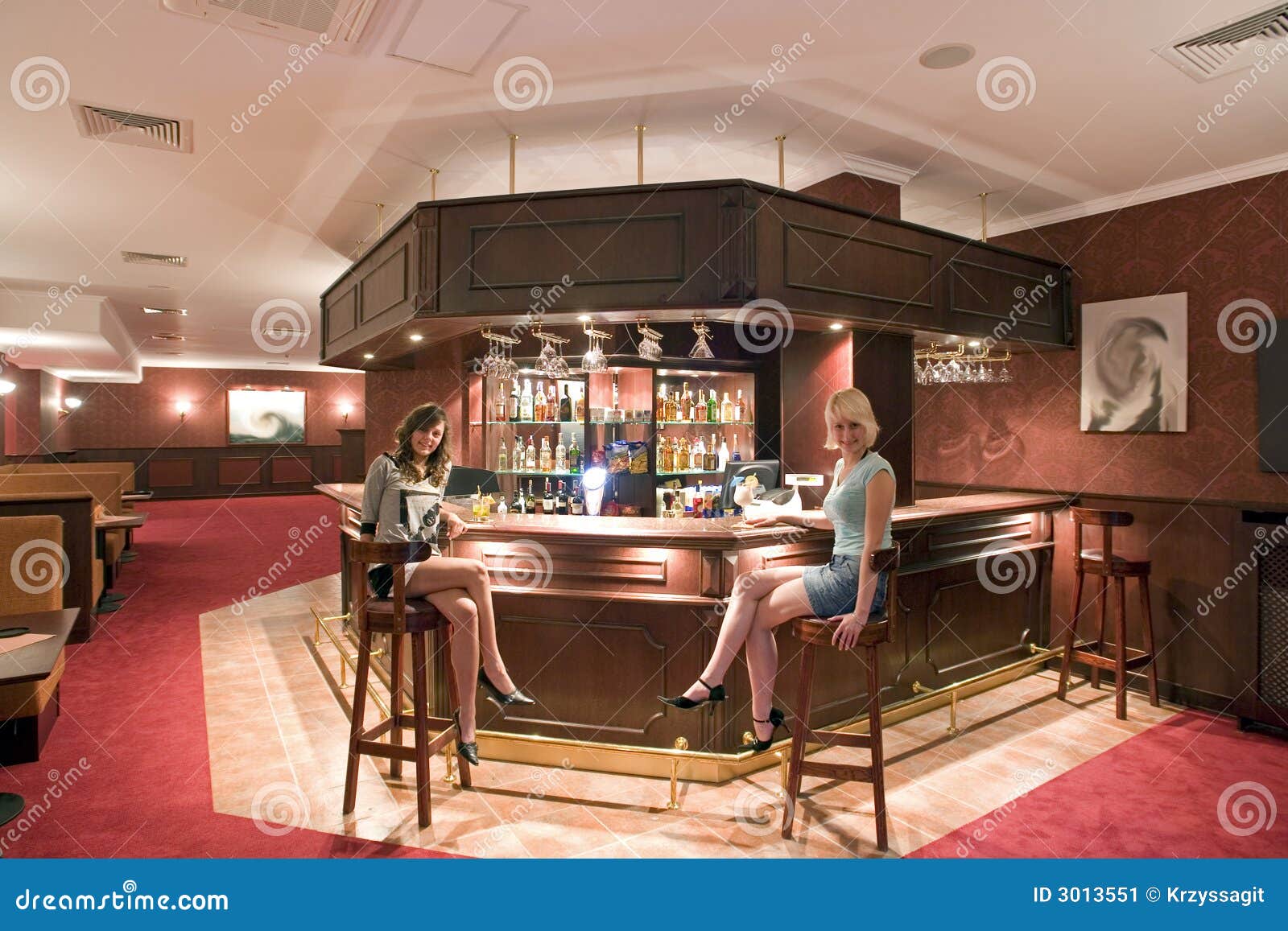 At the bar stock image. Image of woman, fancy, slim, caucasian - 3013551