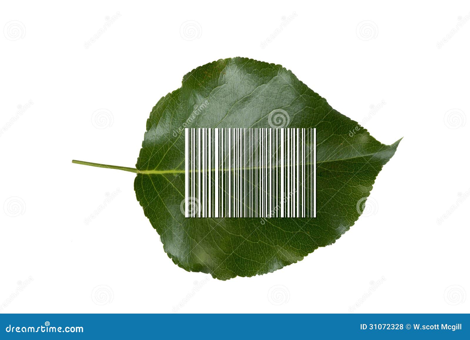 Bar code on green leaf stock photo. Image of concept - 31072328