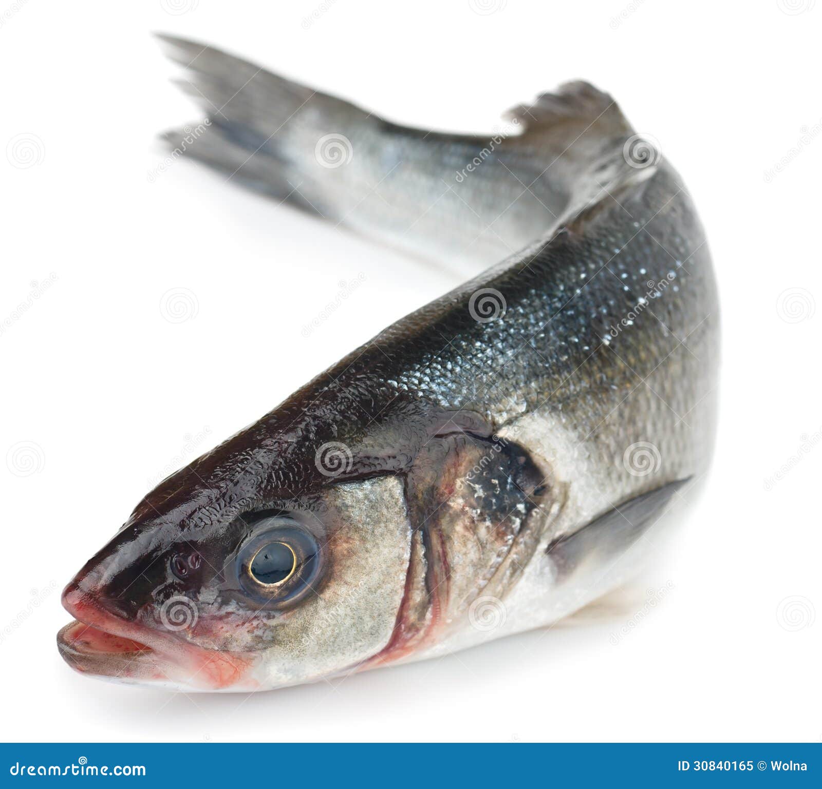 Bar de mer frais image stock. Image du basse, organique - 30840165