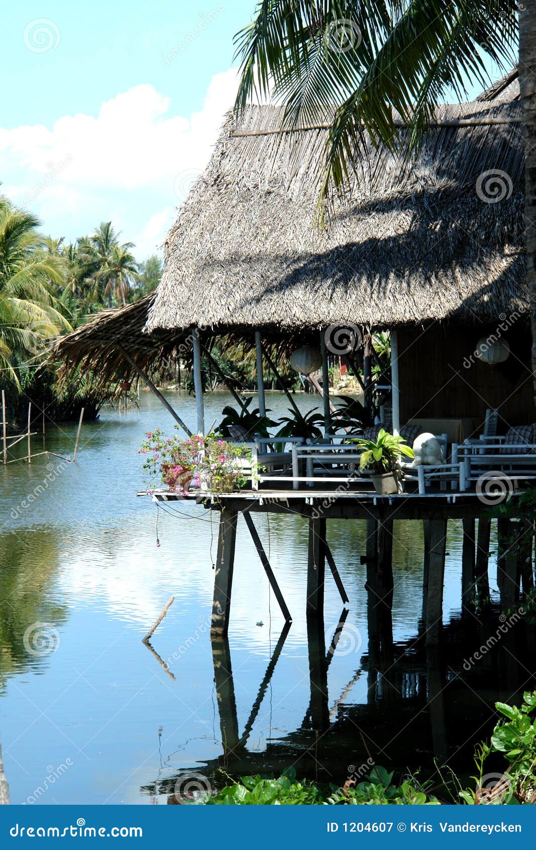 Bar on the river stock image. Image of tree, ocean, palm - 1204607