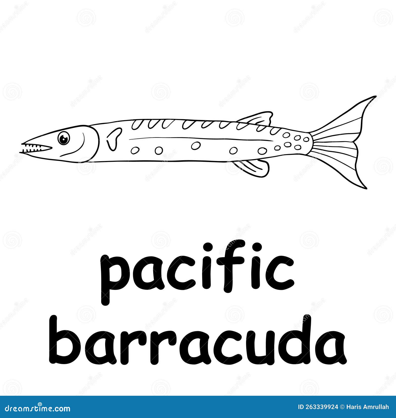 Barracuda Animal Vector Illustration Hand Drawn Cartoon Art ...