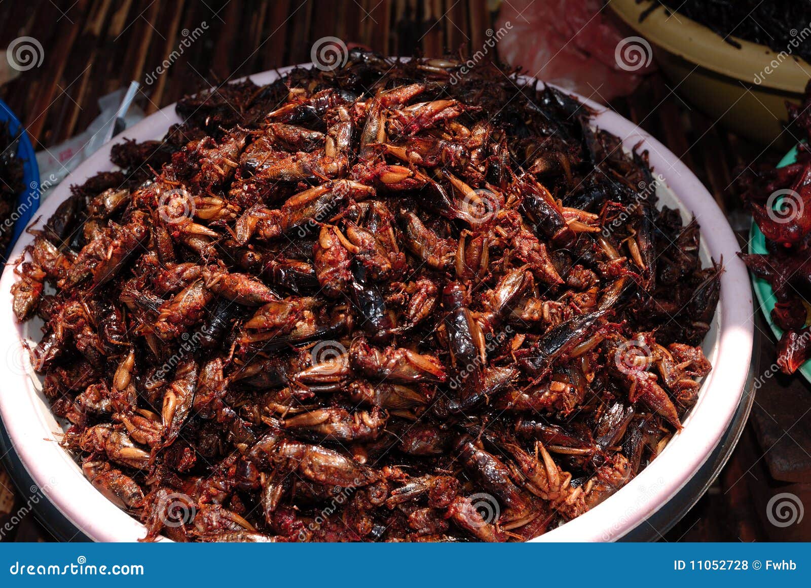 Baratas Roasted foto de stock. Imagem de alimento, coma - 11052728