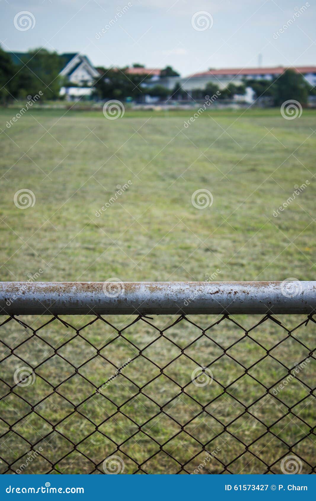 A barb and net stock image. Image of field, iron, fresh - 61573427