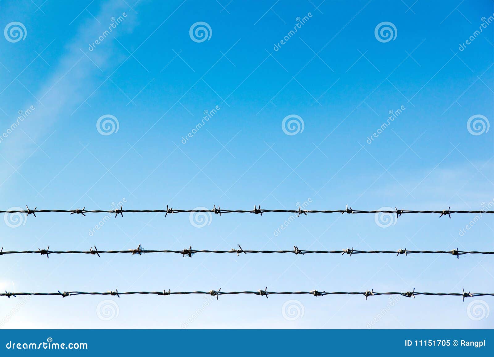 Barb wire stock image. Image of secure, lines, regime - 11151705