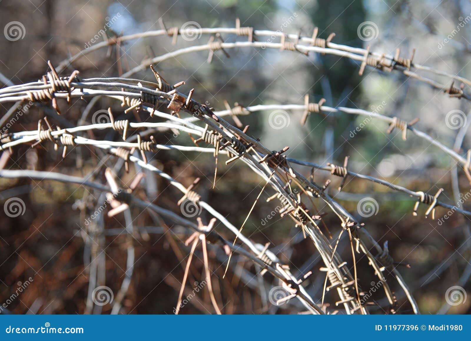Barb wire stock photo. Image of prison, wire, prisoner - 11977396