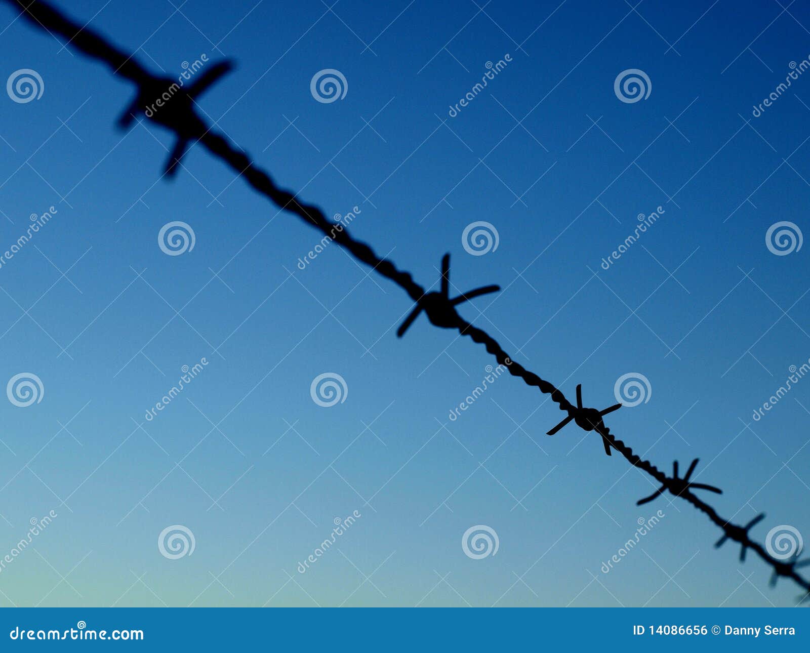 Barb wire stock photo. Image of private, fence, price - 14086656