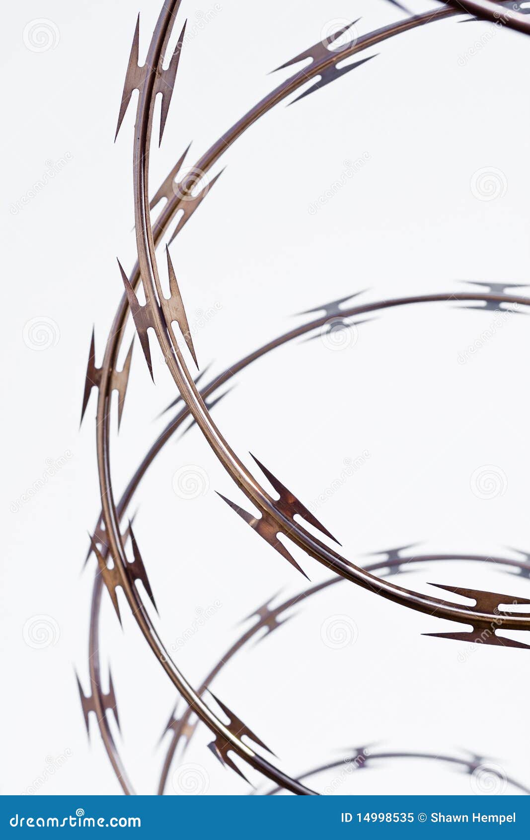Barb Wire Royalty-Free Stock Photography | CartoonDealer.com #36013739