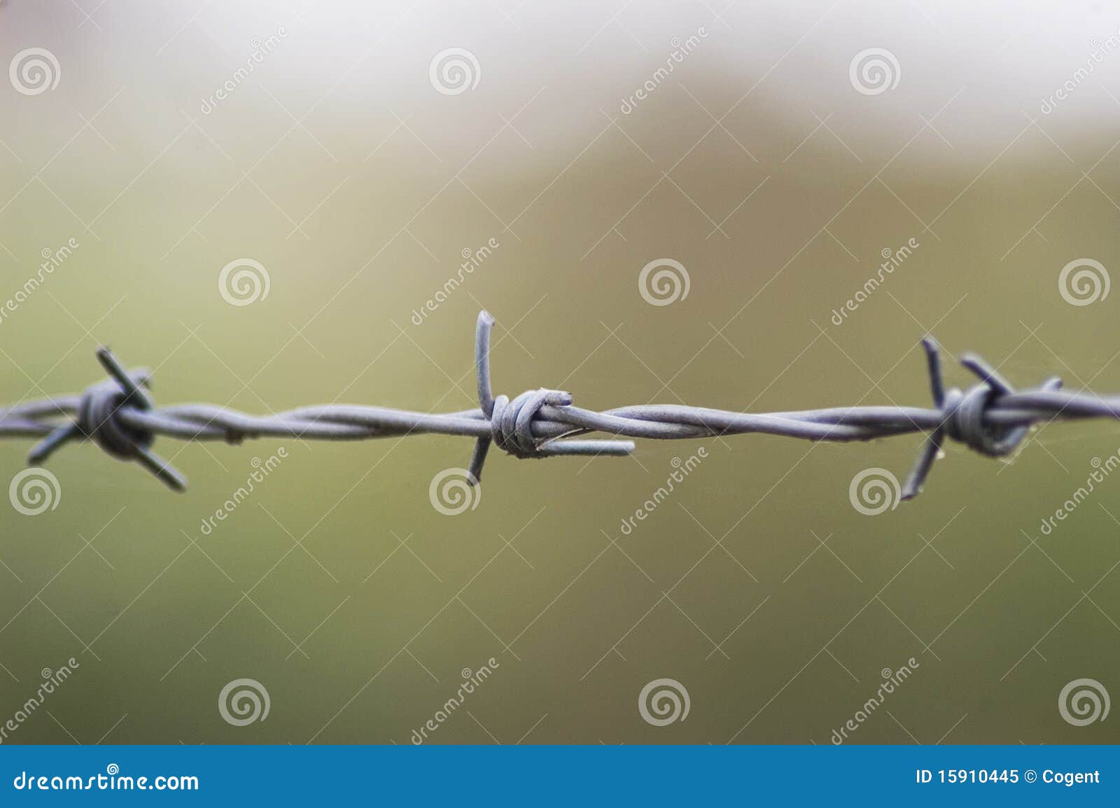 Barb wire stock image. Image of rough, security, metal - 15910445
