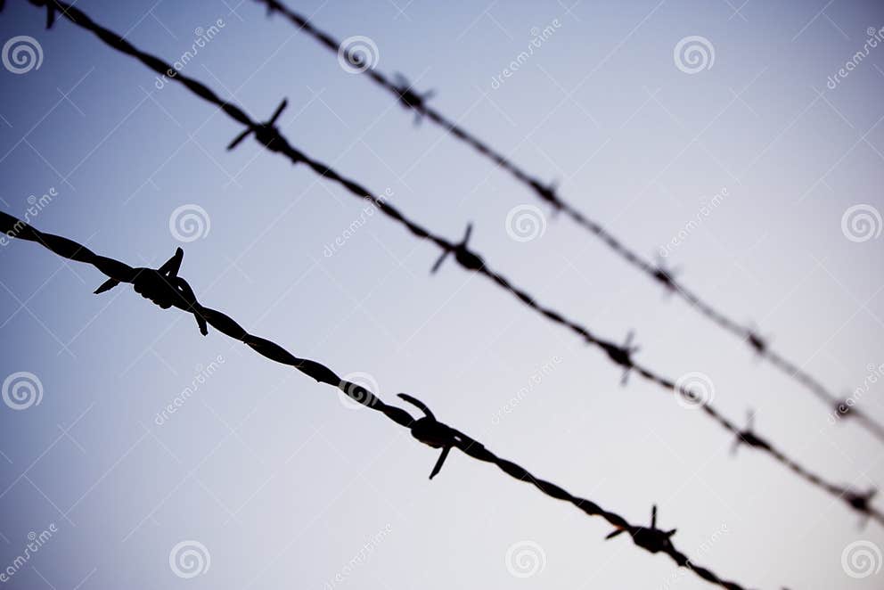 Barb wire stock photo. Image of prisoner, black, metal - 3403928