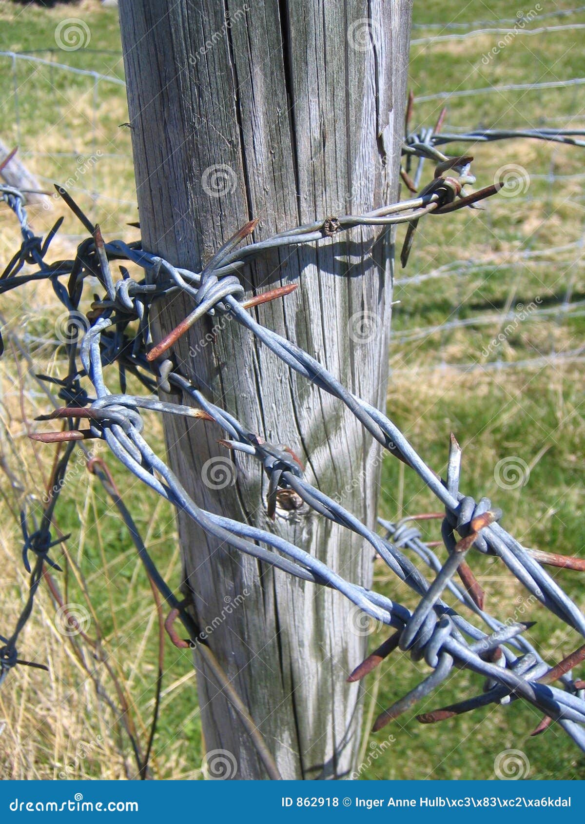 Barb wire stock photo. Image of countryside, fence, pole - 862918
