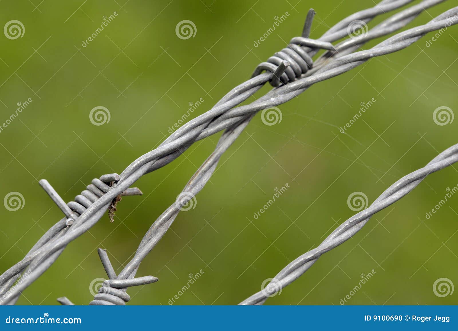 Barb wire stock photo. Image of camp, pain, conserving - 9100690