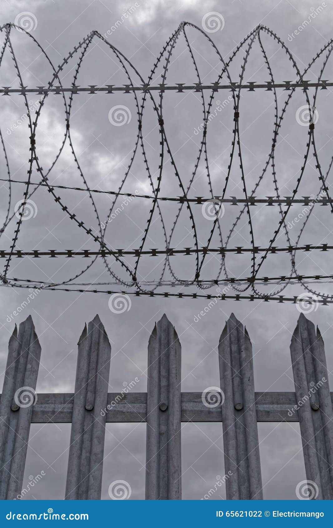 Barb wire stock photo. Image of barbed, netting, metall - 65621022