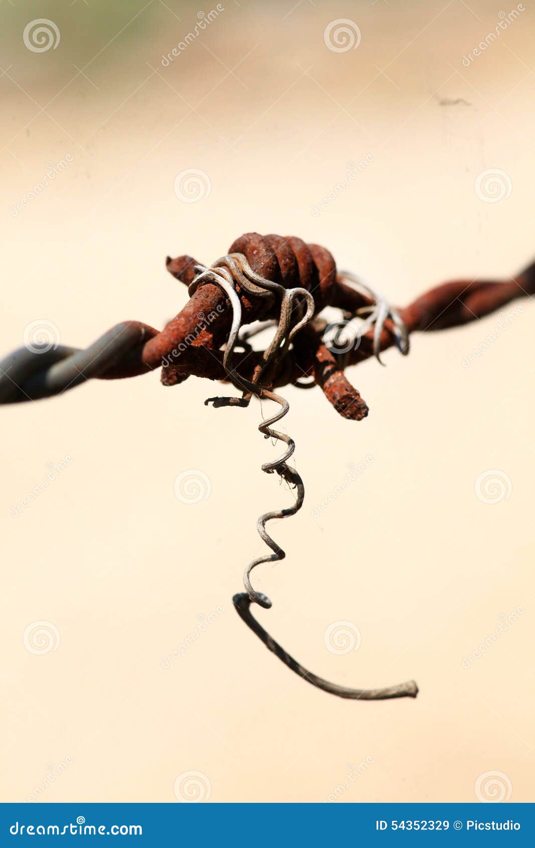 Barb wire stock image. Image of sunny, barb, wire, outdoor - 54352329