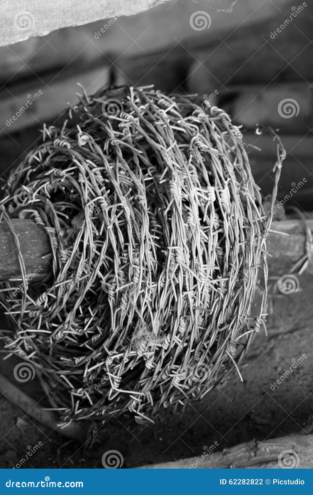 Barb wire stock photo. Image of barb, wire, still, life - 62282822