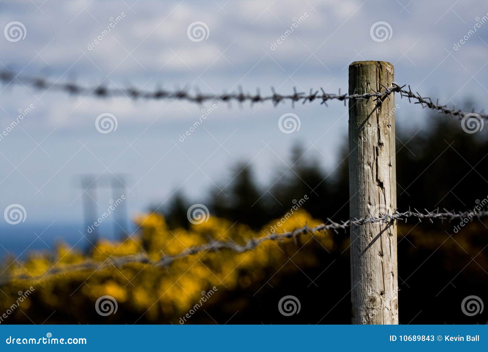 Barb Wire Fence stock image. Image of timber, blur, countryside - 10689843