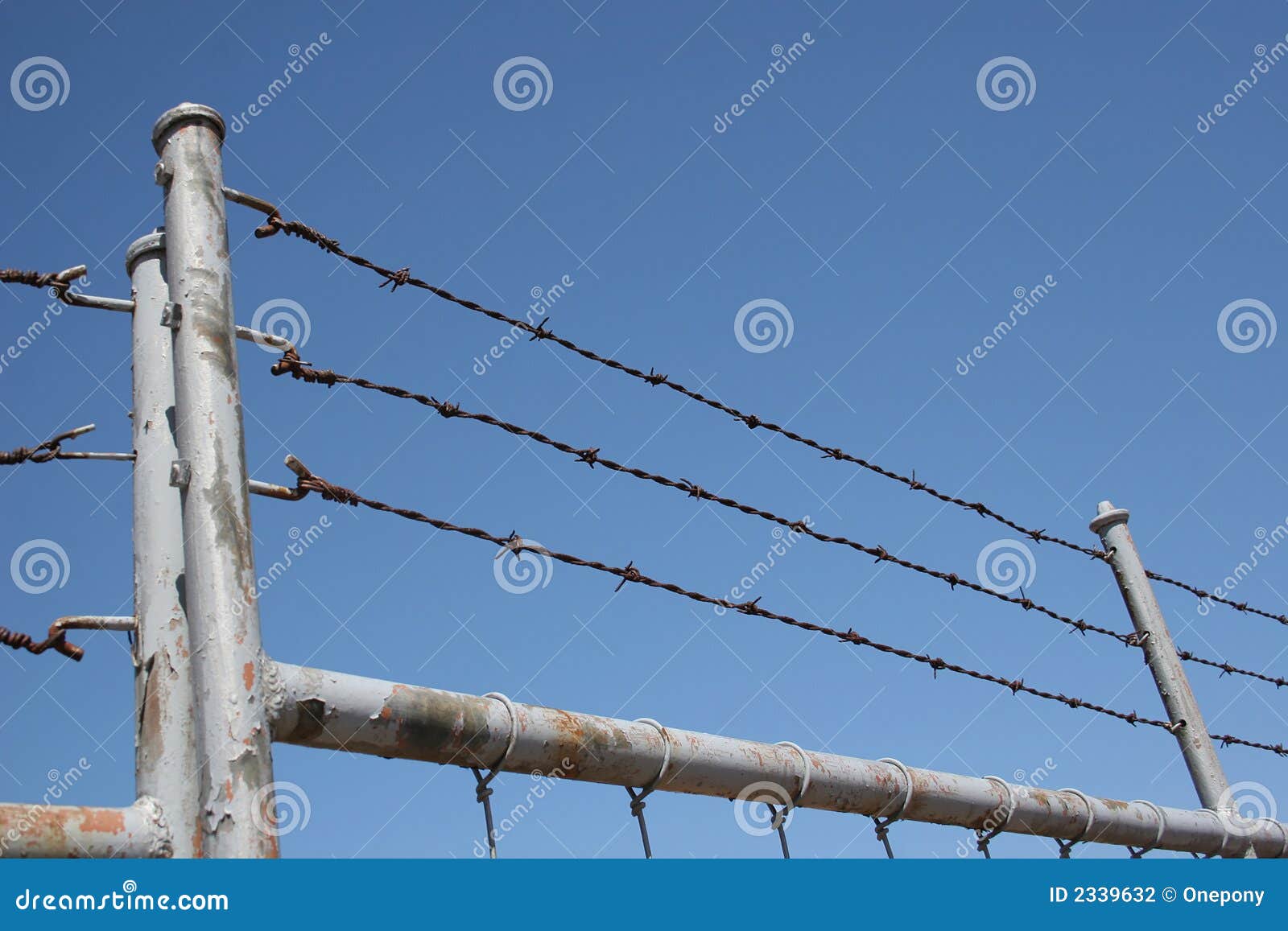 Barb Wire Fence stock photo. Image of keepout, freedom - 2339632