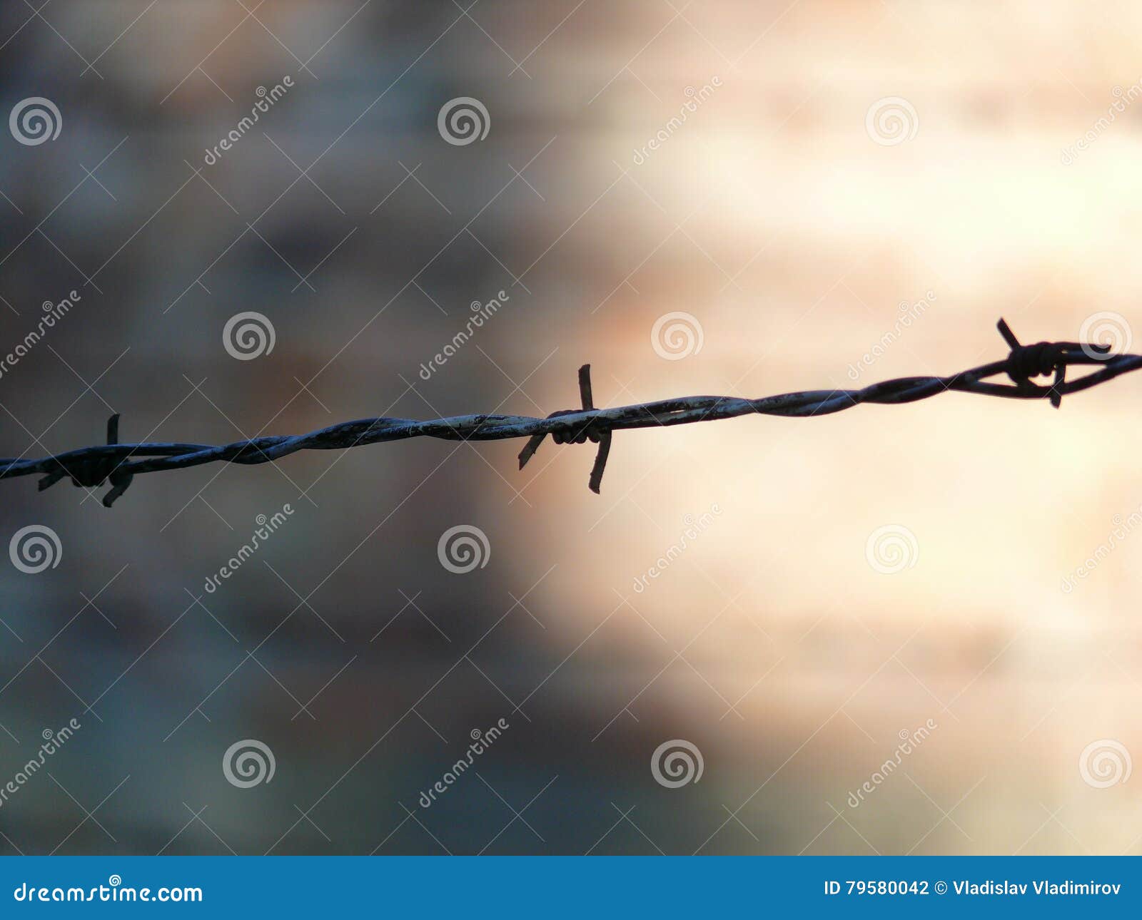 Barb wire editorial photography. Image of slavery, punish - 79580042