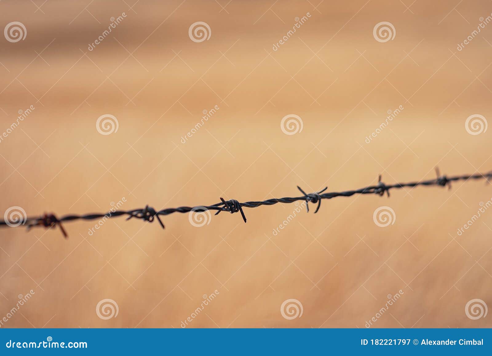 Barb Wire in Front of the Farm Field Stock Image - Image of nature ...