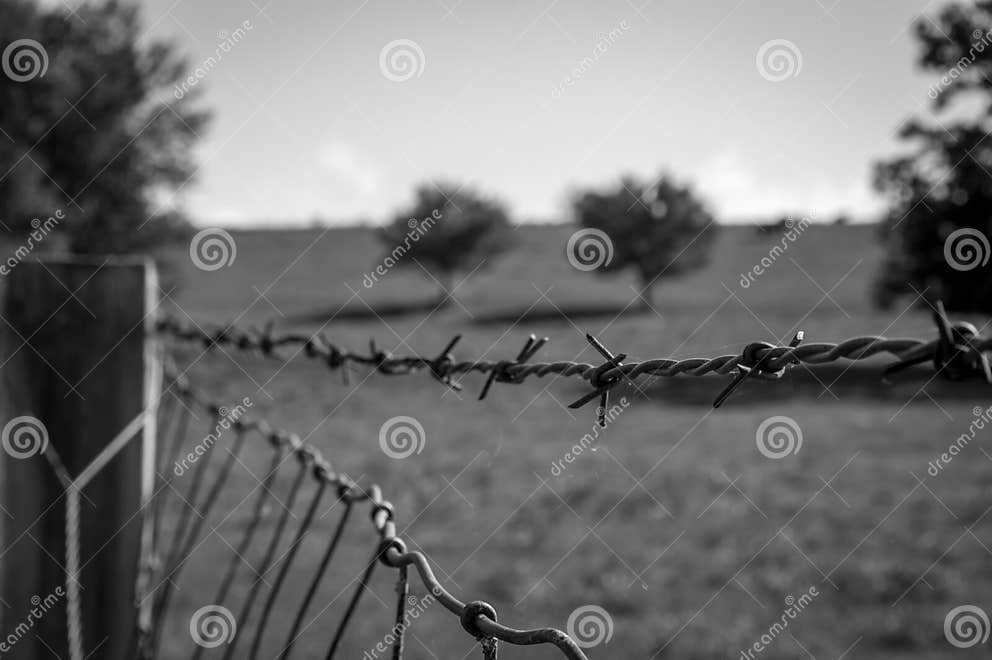 Barb Wire stock photo. Image of fence, perspective, abstract - 78621666