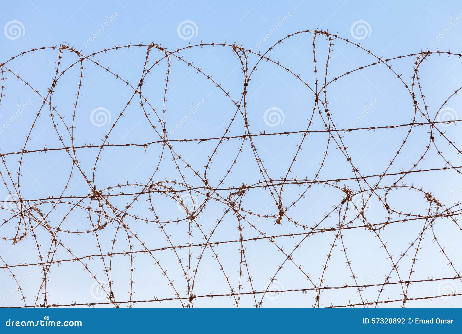 Barb wire stock photo. Image of fencing, rust, barbed - 57320892