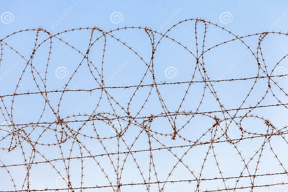 Barb wire stock photo. Image of fencing, rust, barbed - 57320892
