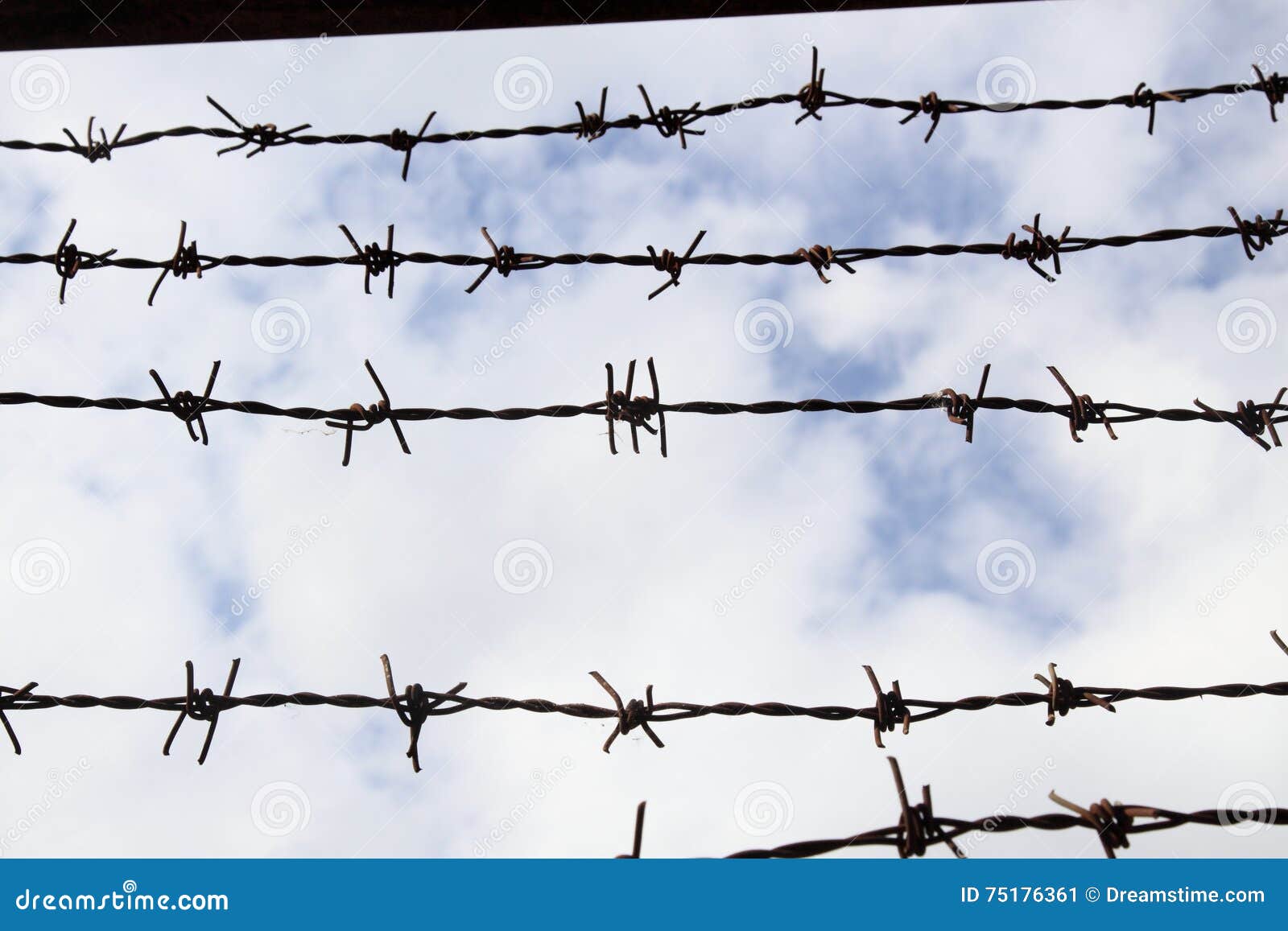 Barb wire stock image. Image of icons, barbwire, danger - 75176361