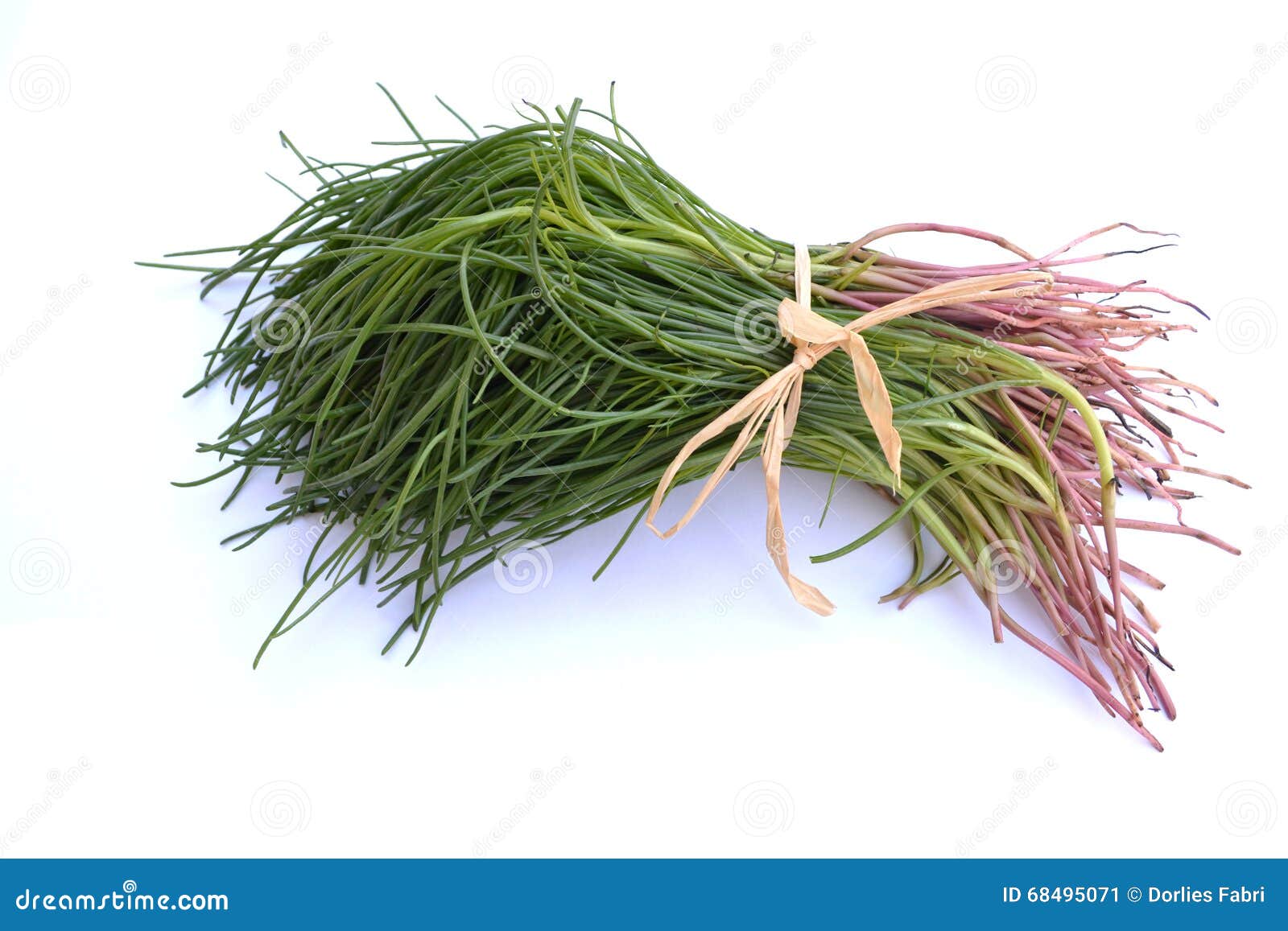 Barba Del Monje Fotos De Stock - Descarga 167 Fotos Libres de Derechos