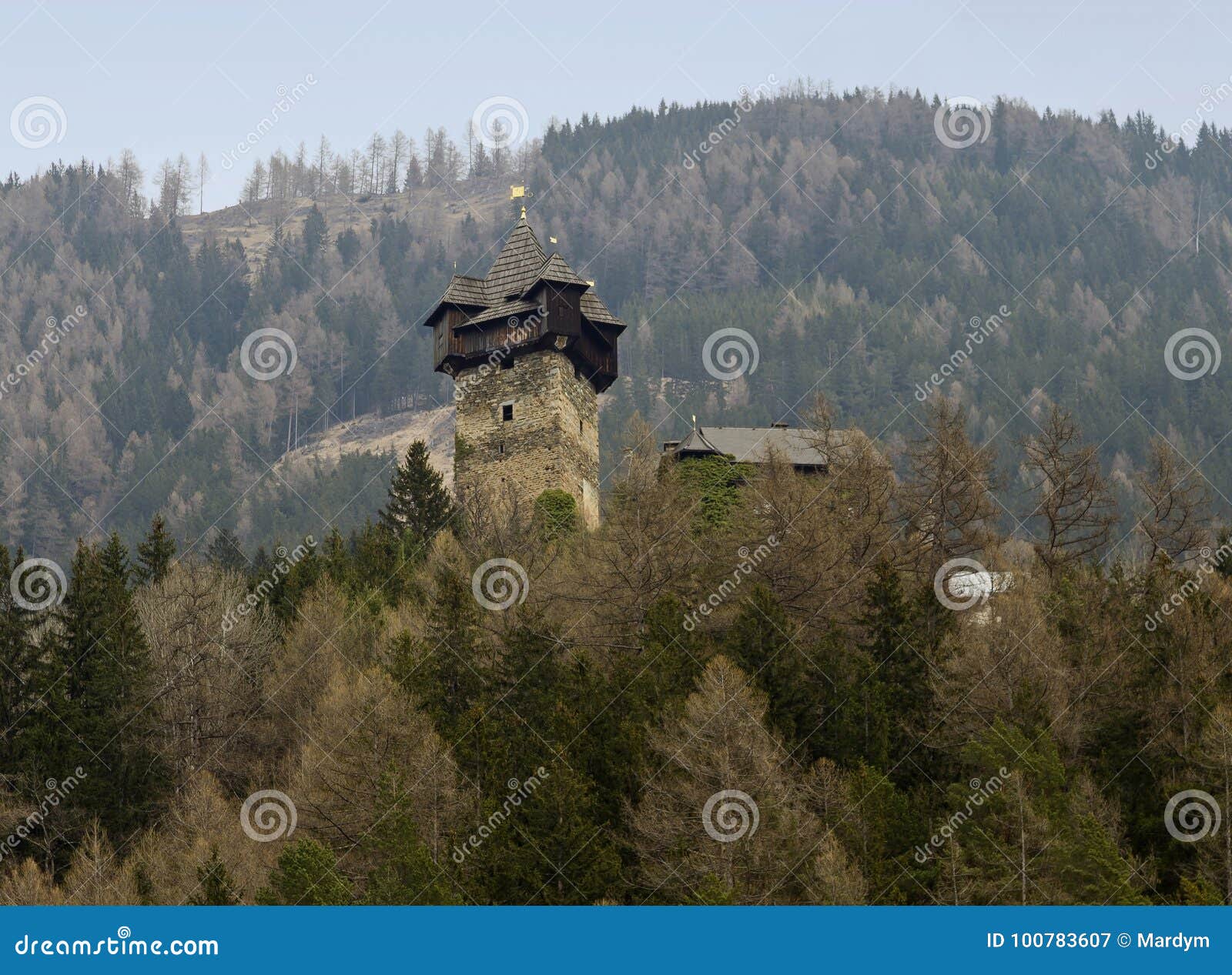Barbacana Del Castillo De Niederfalkenstein Imagen de archivo - Imagen ...
