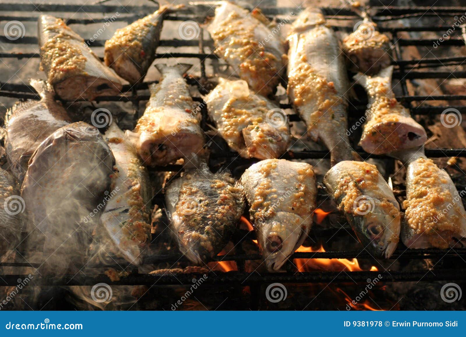 Barbacoa de los pescados foto de archivo. Imagen de objeto - 9381978