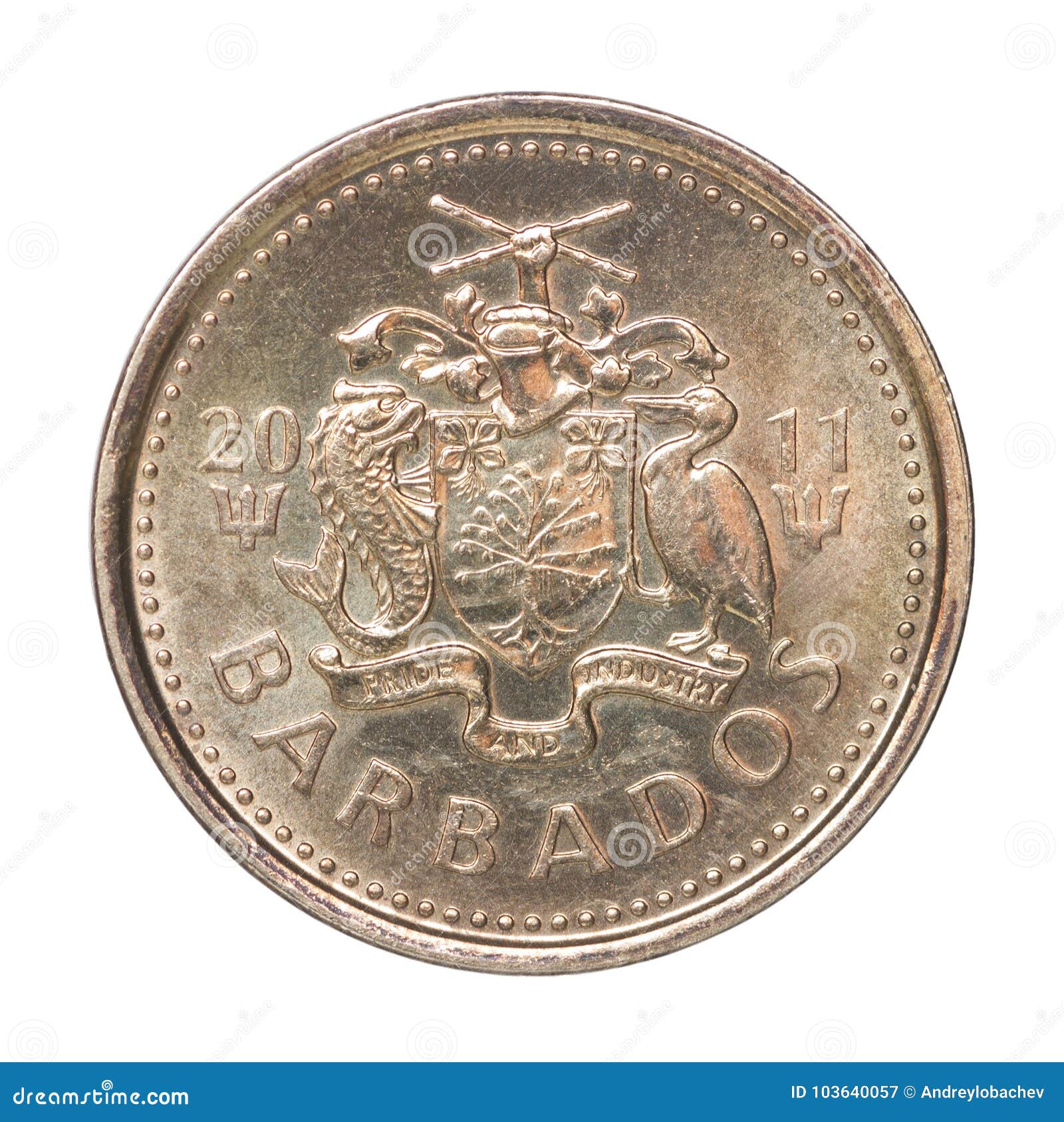 Barbados cent coin stock image. Image of white, macro - 103640057