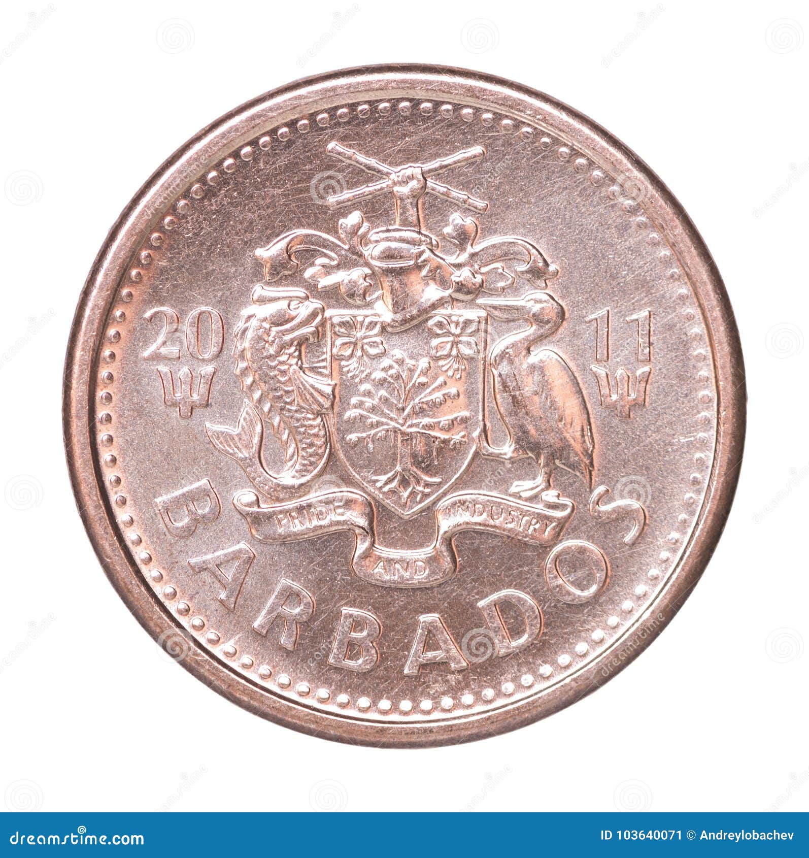 Barbados cent coin stock image. Image of currency, arms - 103640071