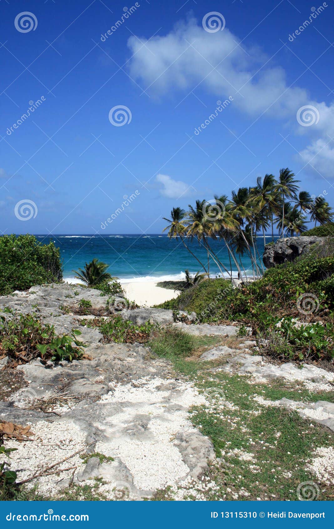 Barbados sea view stock photo. Image of sandy, rugged - 13115310