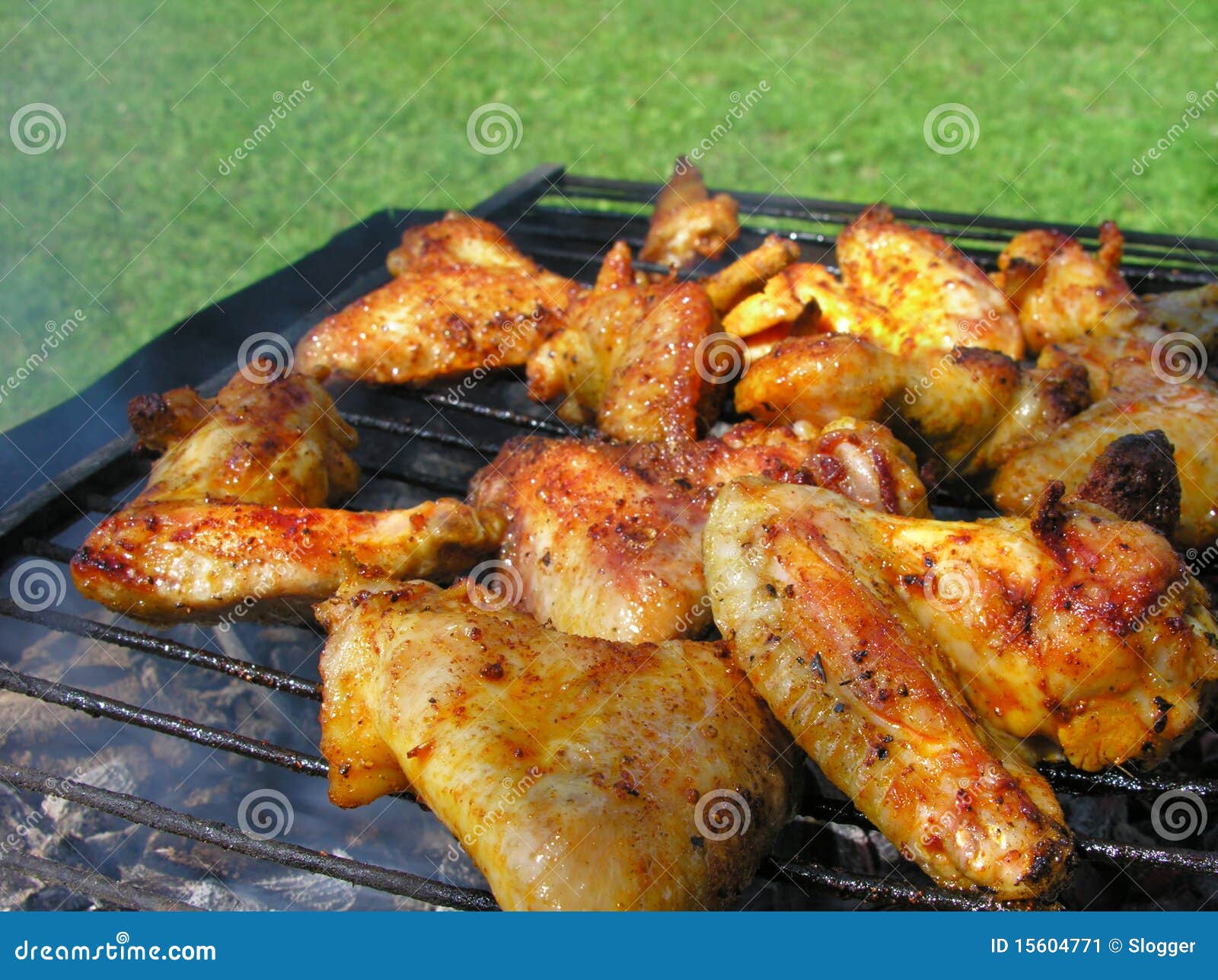 Barbecue stock image. Image of roast, food, outdoors - 15604771
