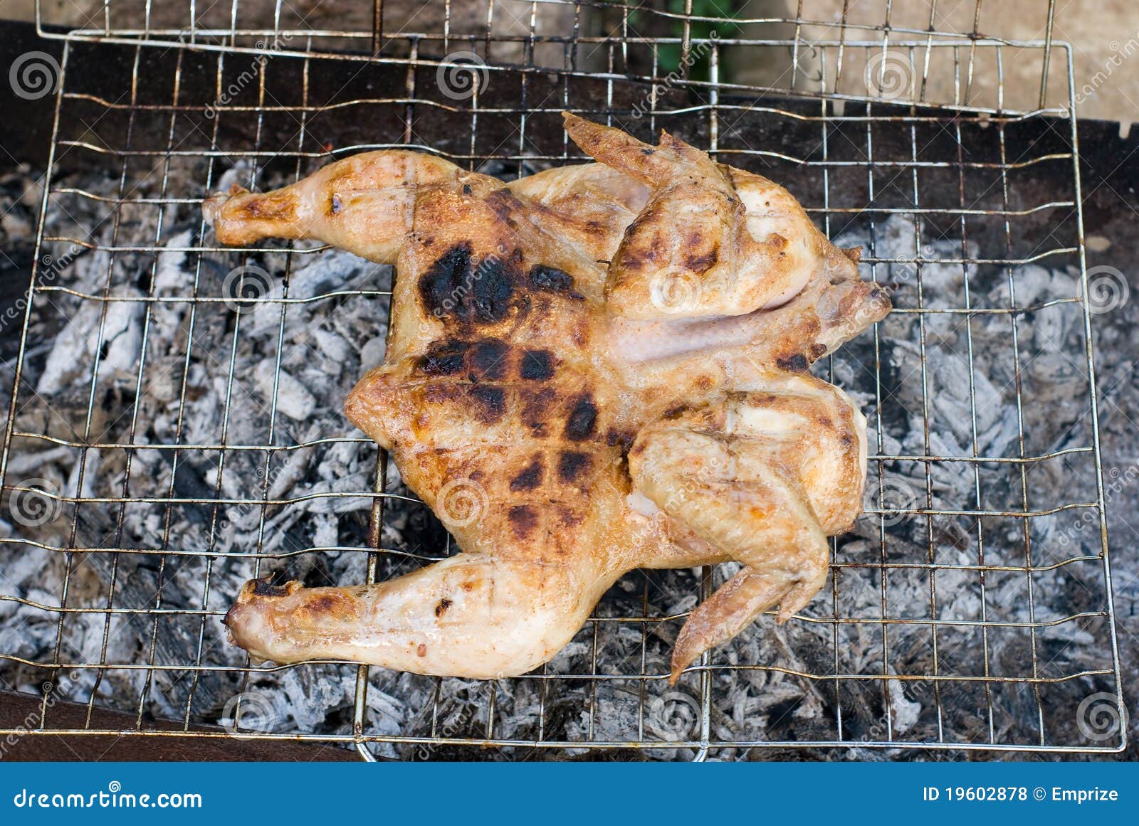 Barbecue stock photo. Image of smolder, party, meat, roast - 19602878