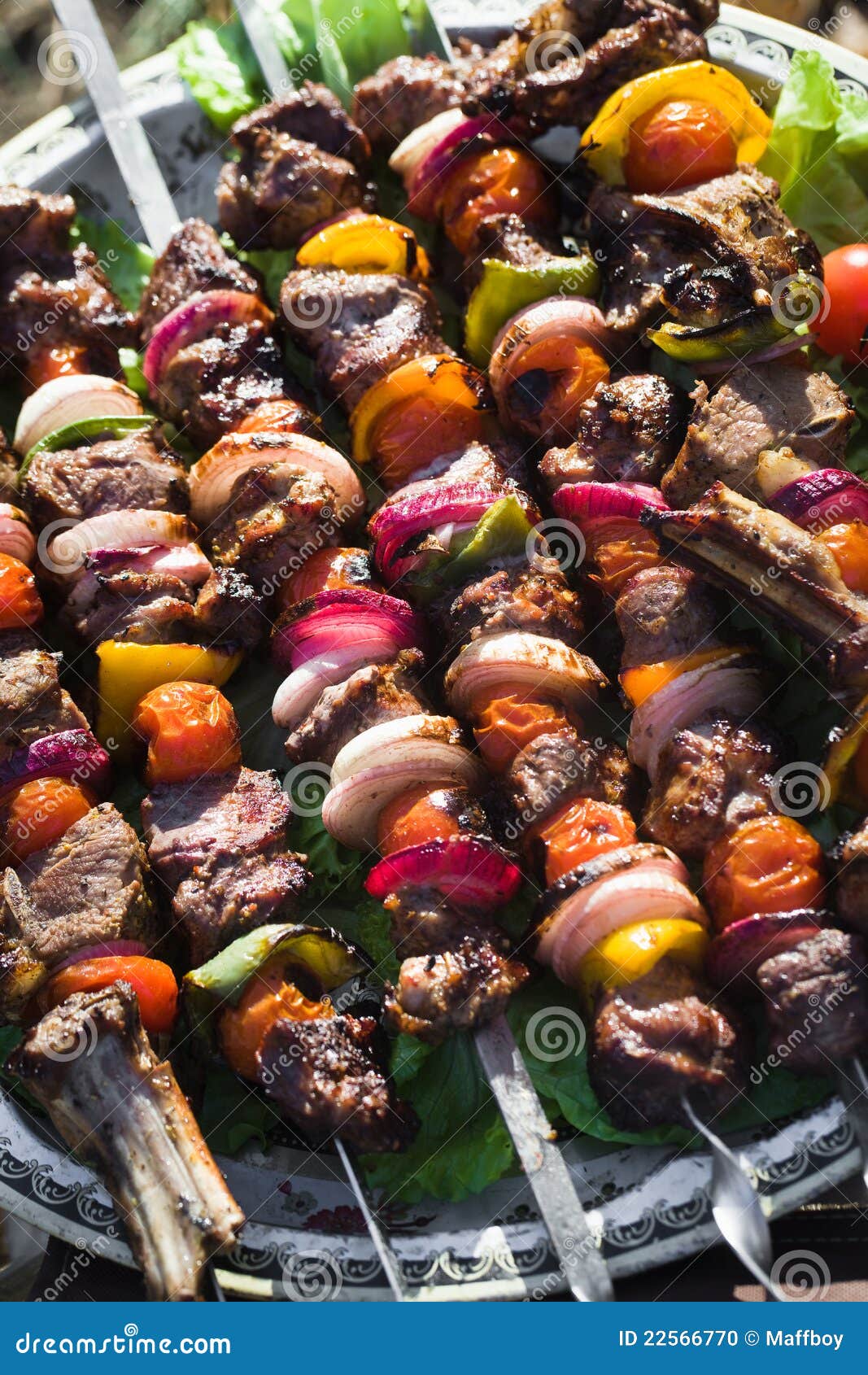 Barbecue stock photo. Image of picnic, chef, lunch, grilled - 22566770