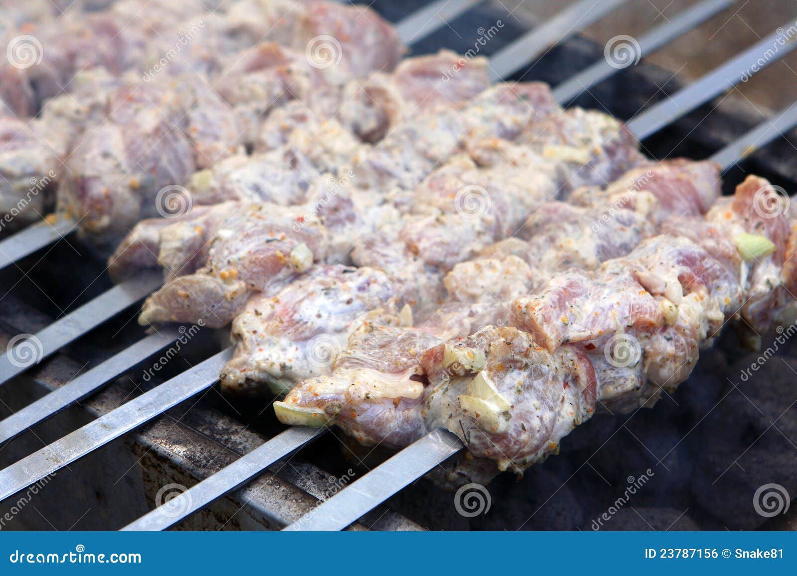 Barbecue stock photo. Image of barbeque, picnic, fire - 23787156