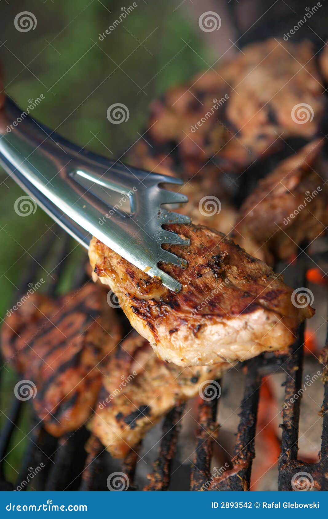 Barbecue stock photo. Image of meal, barbecue, outdoors - 2893542