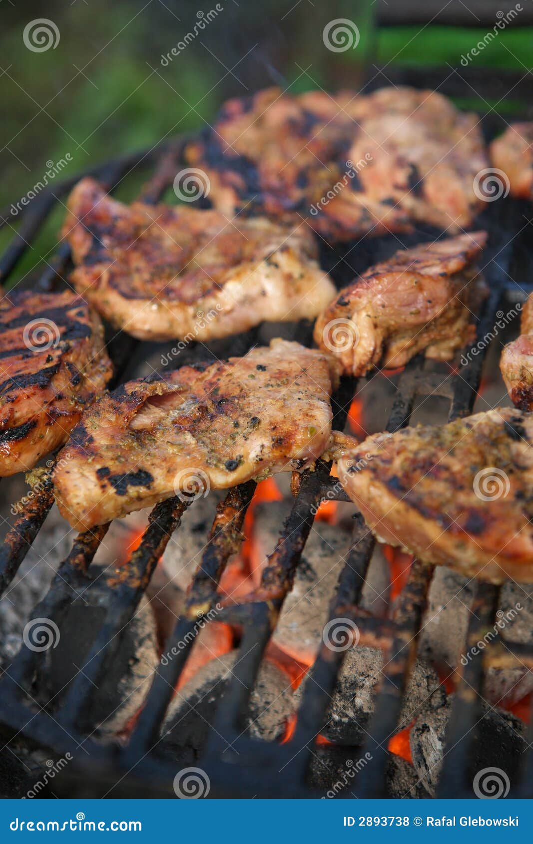 Barbecue stock photo. Image of meat, meal, lunch, outdoors - 2893738