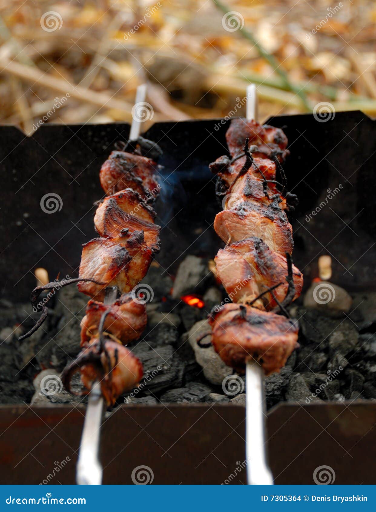 Barbecue stock photo. Image of pork, flame, meal, meat - 7305364