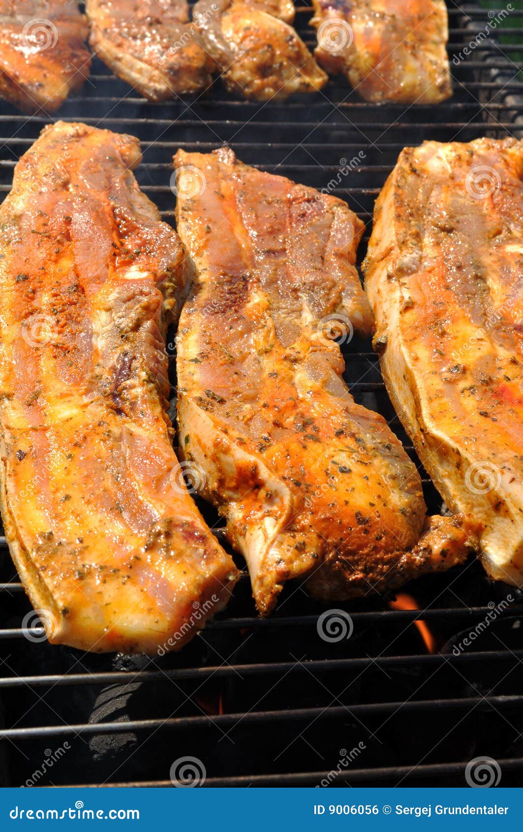 Barbecue stock photo. Image of party, contemporary, barbecue - 9006056