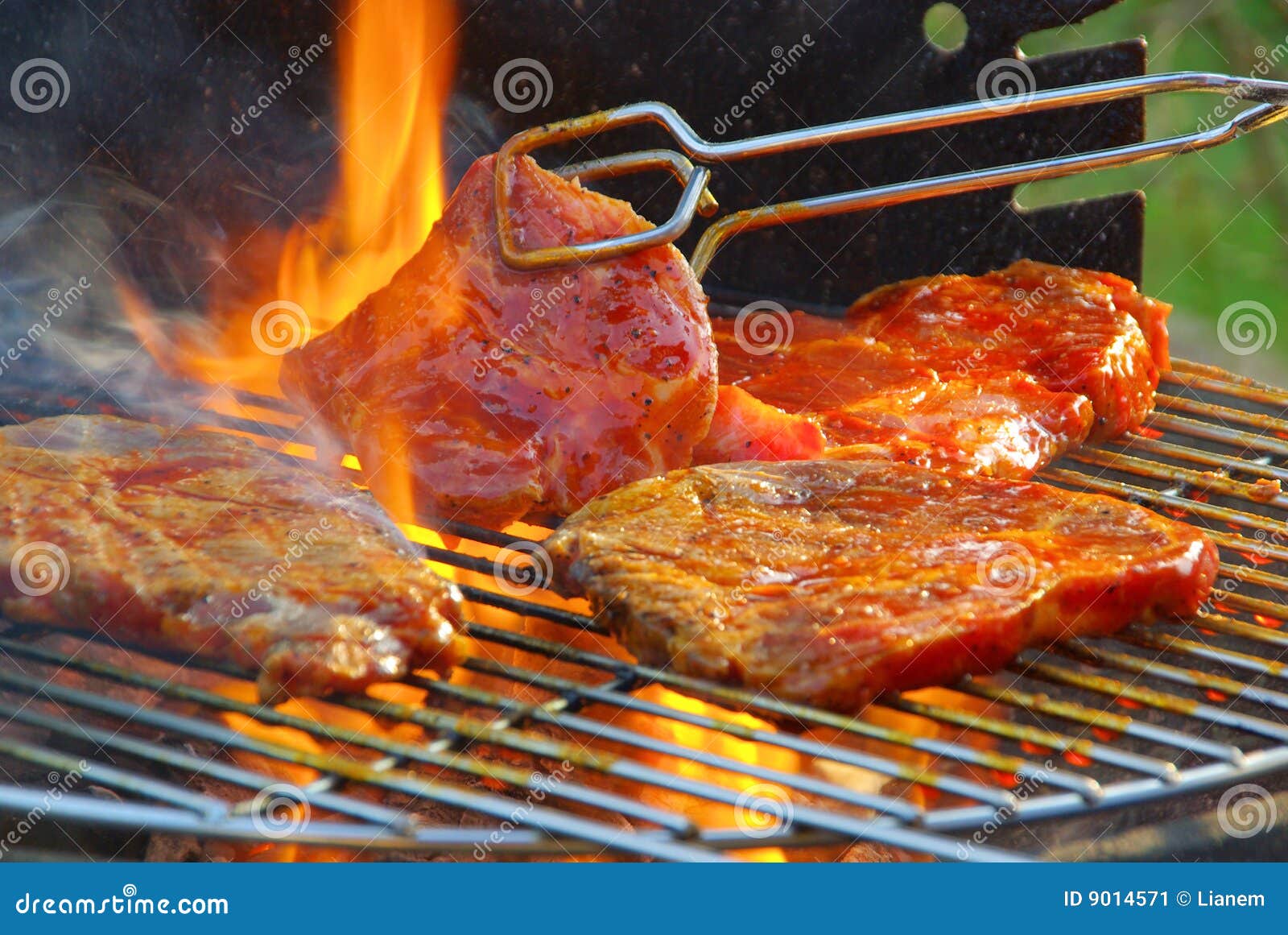 Barbecue stock image. Image of outdoors, roast, pieces - 9014571