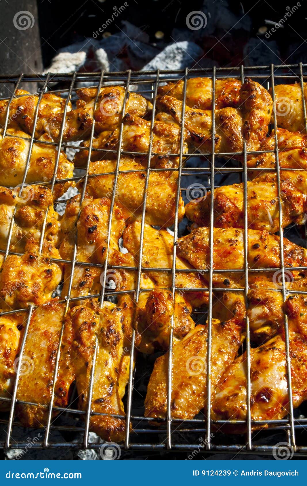 Barbecue stock image. Image of cooking, food, grilling - 9124239