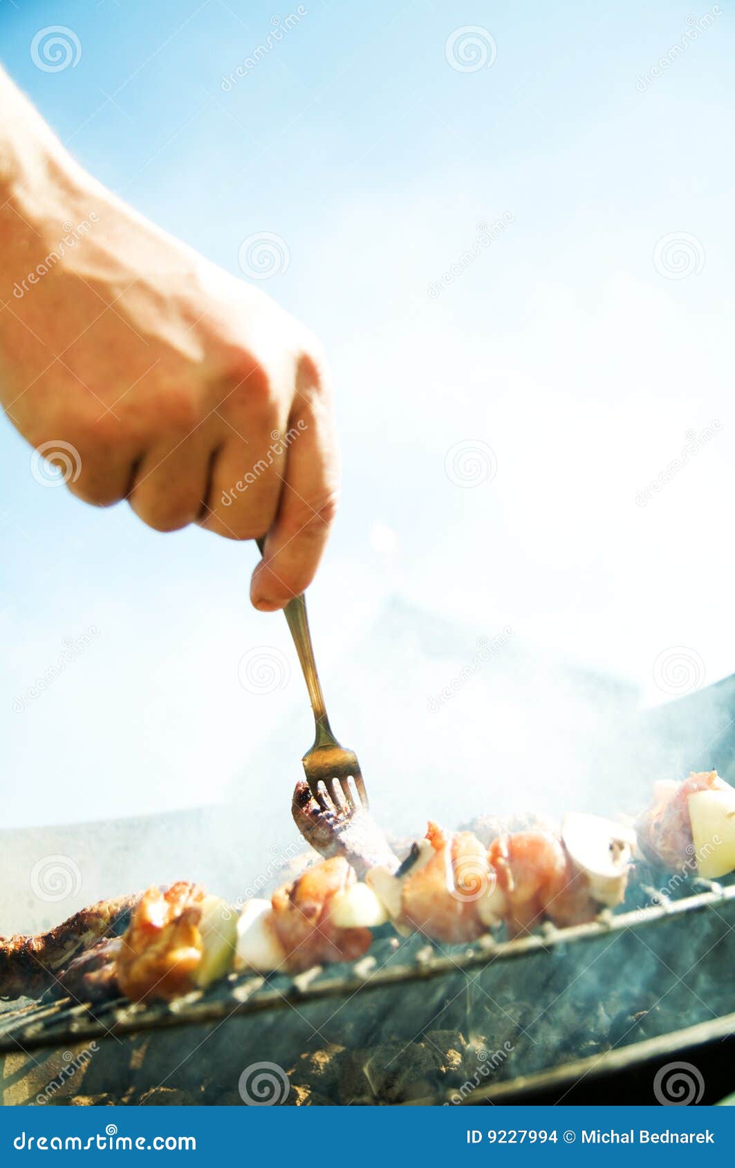 Barbecue stock photo. Image of fresh, barbecue, grass - 9227994