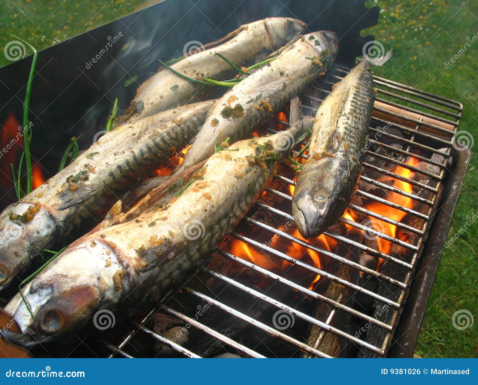 Barbecue stock photo. Image of barbecue, roast, outdoor - 9381026