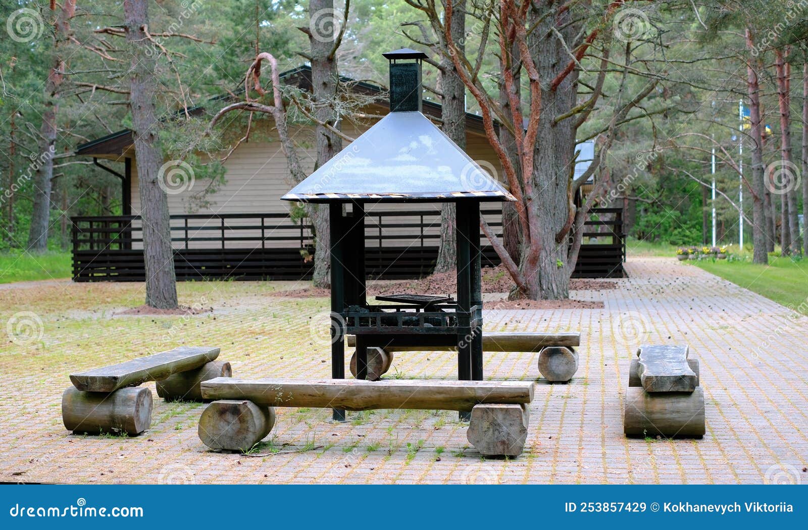 Barbecue Avec Toit Pour Barbecue Dans Le Parc Forestier Image stock ...
